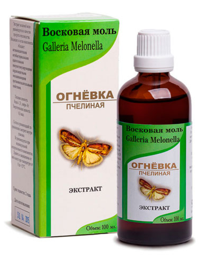 Восковая моль (огневка) экстракт 25%, 100 мл, 1 флакон, ПК Элсервис