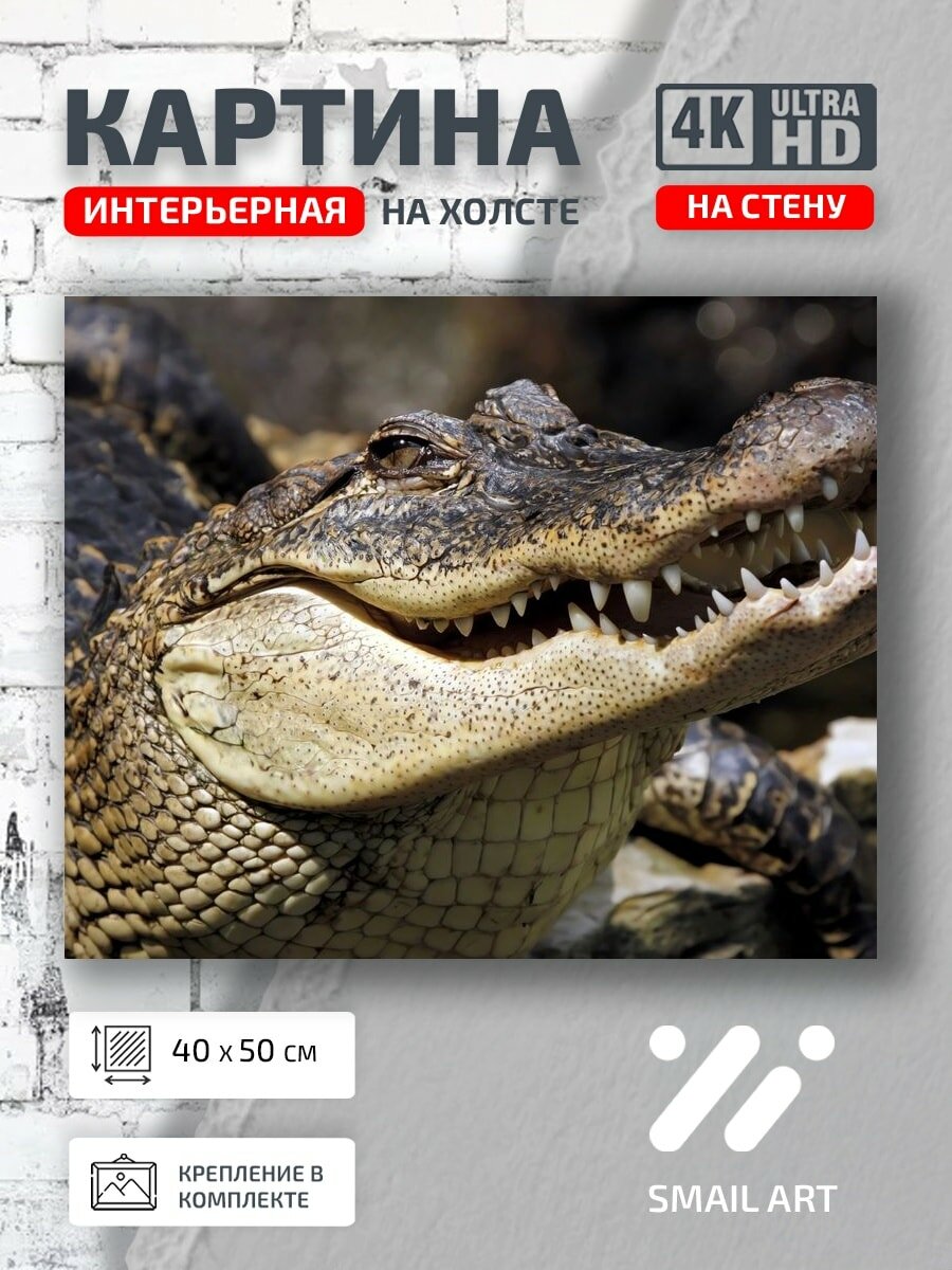 Картина на холсте интерьерная 40 на 50 на стену крокодил рептилия для офиса атмосфера