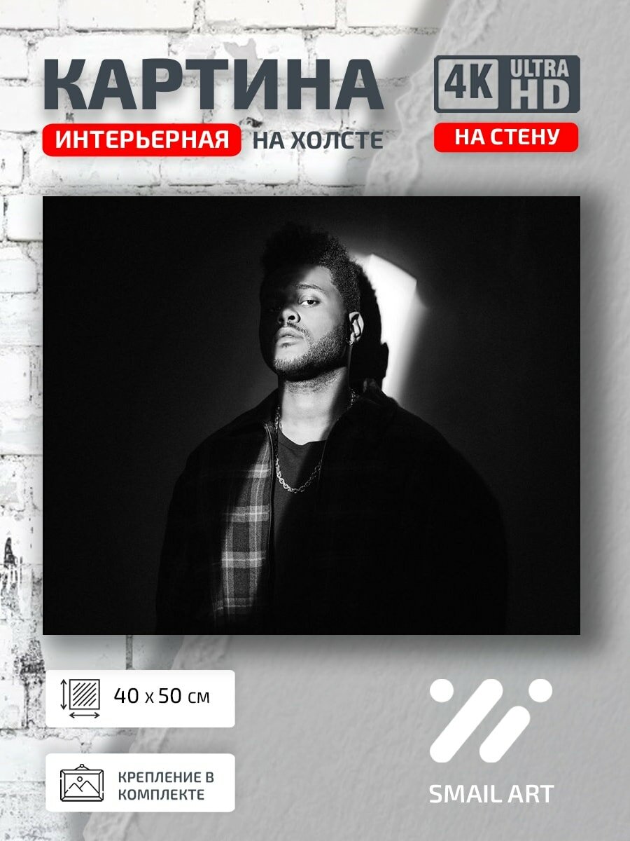 Картина на холсте интерьерная 40 на 50 на стену Weeknd Monochrome для кабинета атмосфера