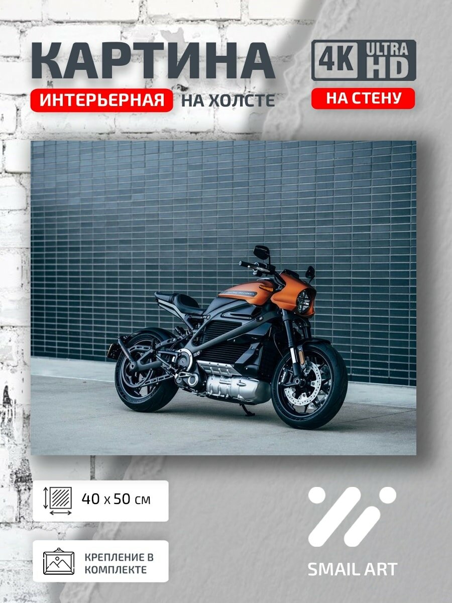 Картина на холсте интерьерная 40 на 50 на стену Davidson LiveWire для студии атмосфера