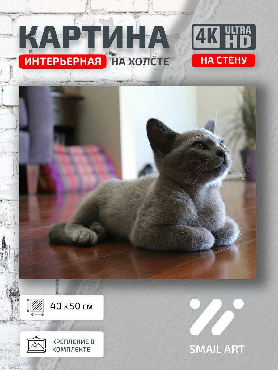 Картина на холсте интерьерная 40 на 50 на стену Животные Кот для студии атмосфера
