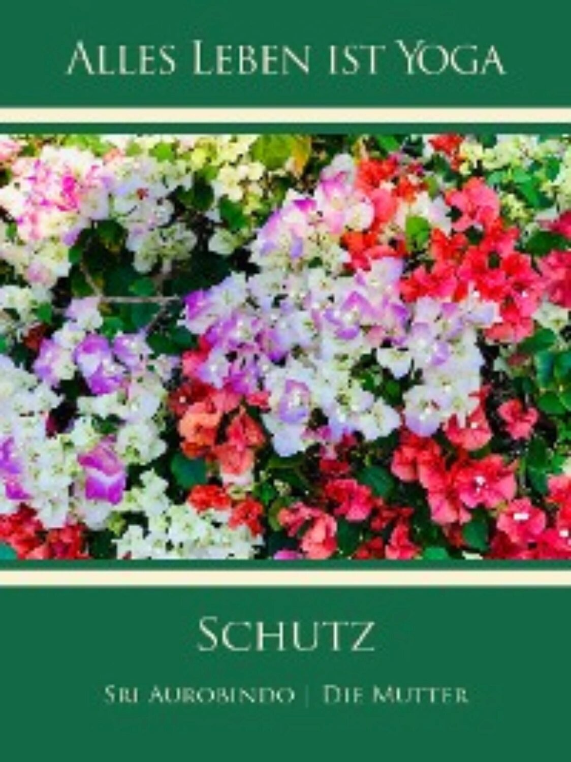 Schutz [Цифровая книга]