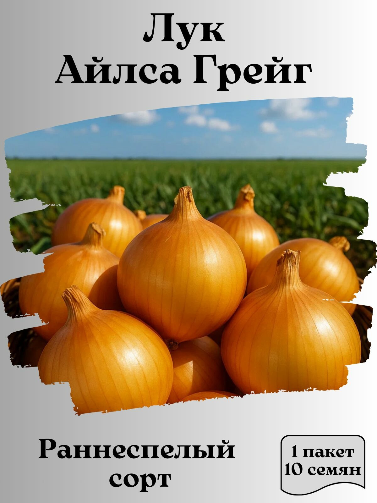 Лук Айлса Грейг, семена, 10 шт, 15 гр.