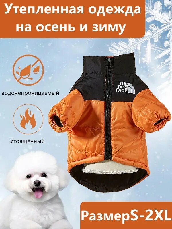 KNOW EASY-одежда для собак мелких пород, Зимняя хлопчатобумажная одежда для собак, Плюс бархатное утолщение