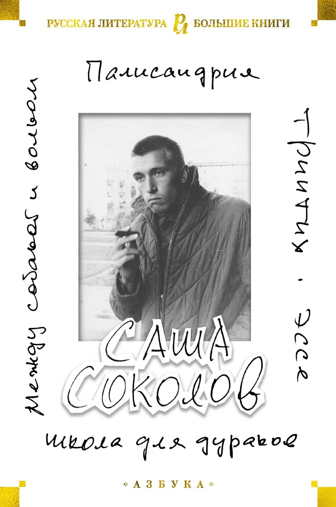 Книга: "Школа для дураков. Между собакой и волком. Палисандрия. Триптих. Эссе" от Соколов С, русский язык, Современная российская проза