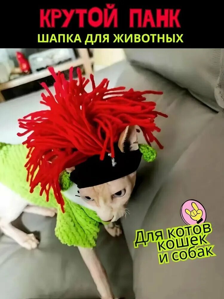 Шапка для котов и собак смешная