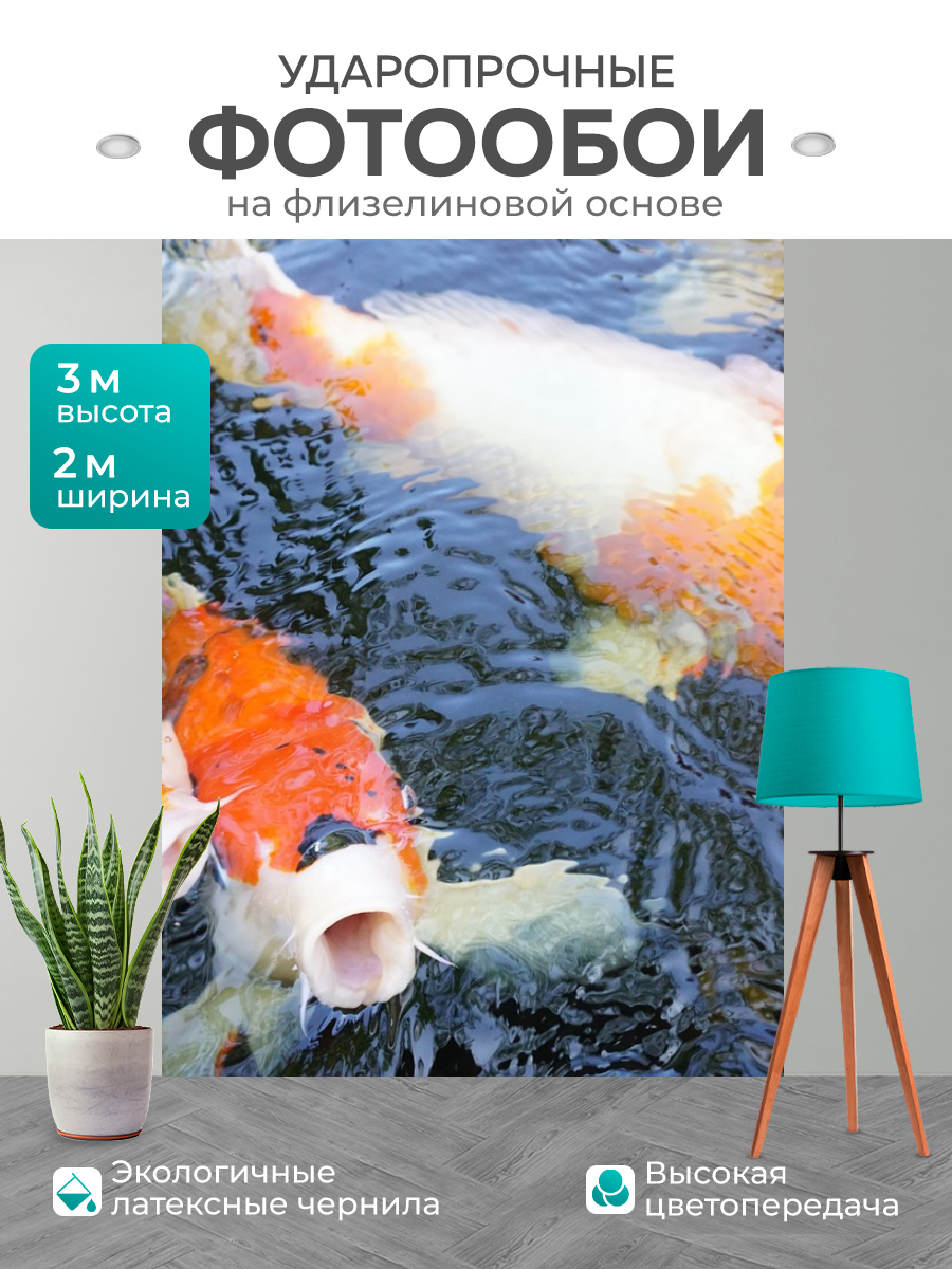 Фотообои моющиеся ударопрочные "Рыбы, аквариум, гарп рыба" 200x300 см. флизелиновые на стену