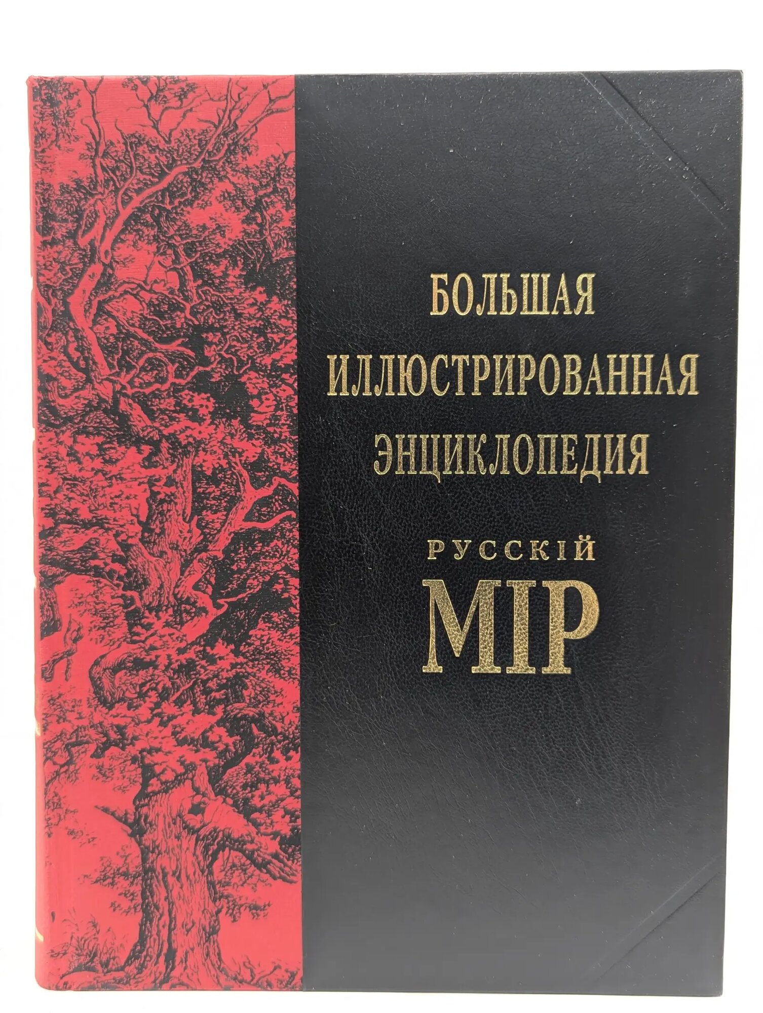 Большая иллюстрированная энциклопедия "Русский мир". В 14 томах. Том 12. Василенко - Великие Луки Сборник 2008