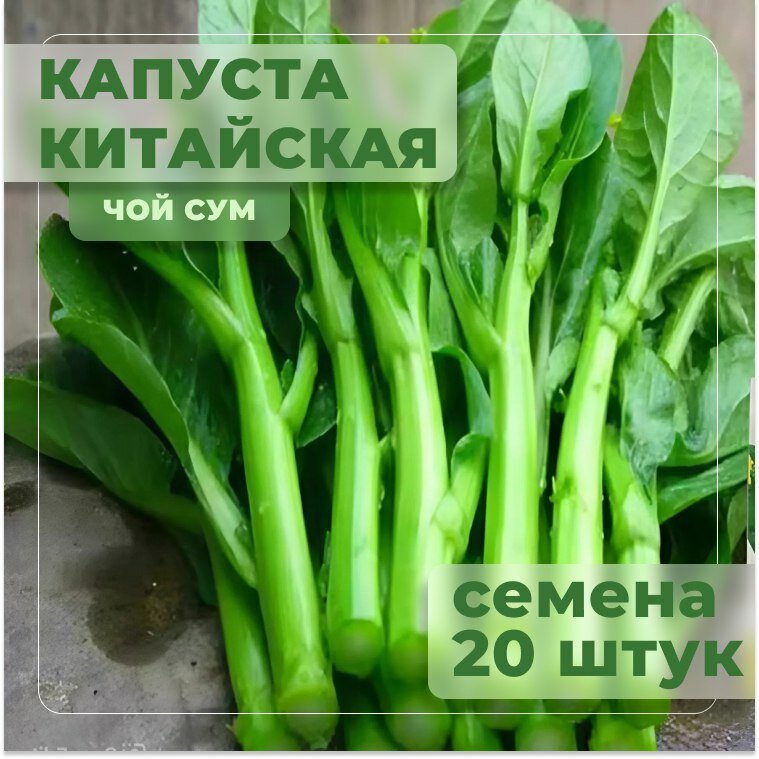Капуста китайская Чой Сум, семена 20 штук