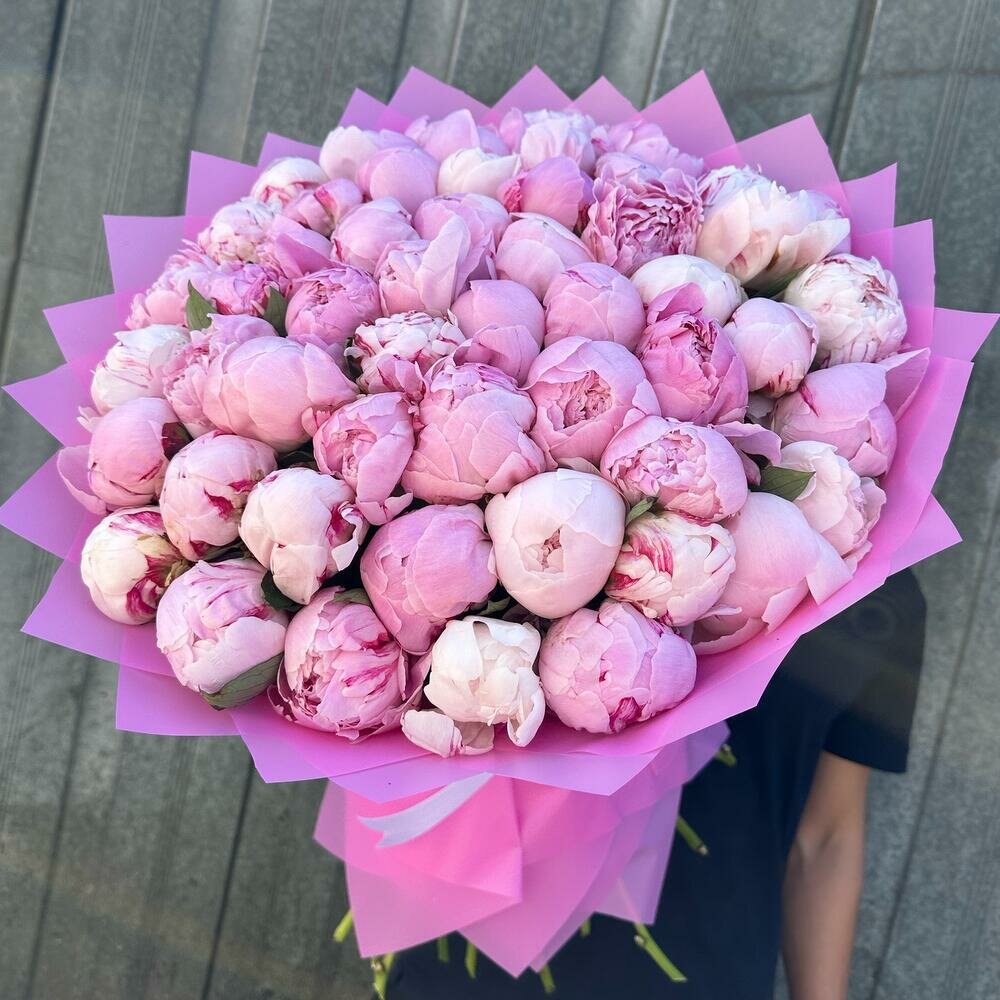 51 розовый пион Сара Бернар в букете, роскошный премиум монобукет розовый