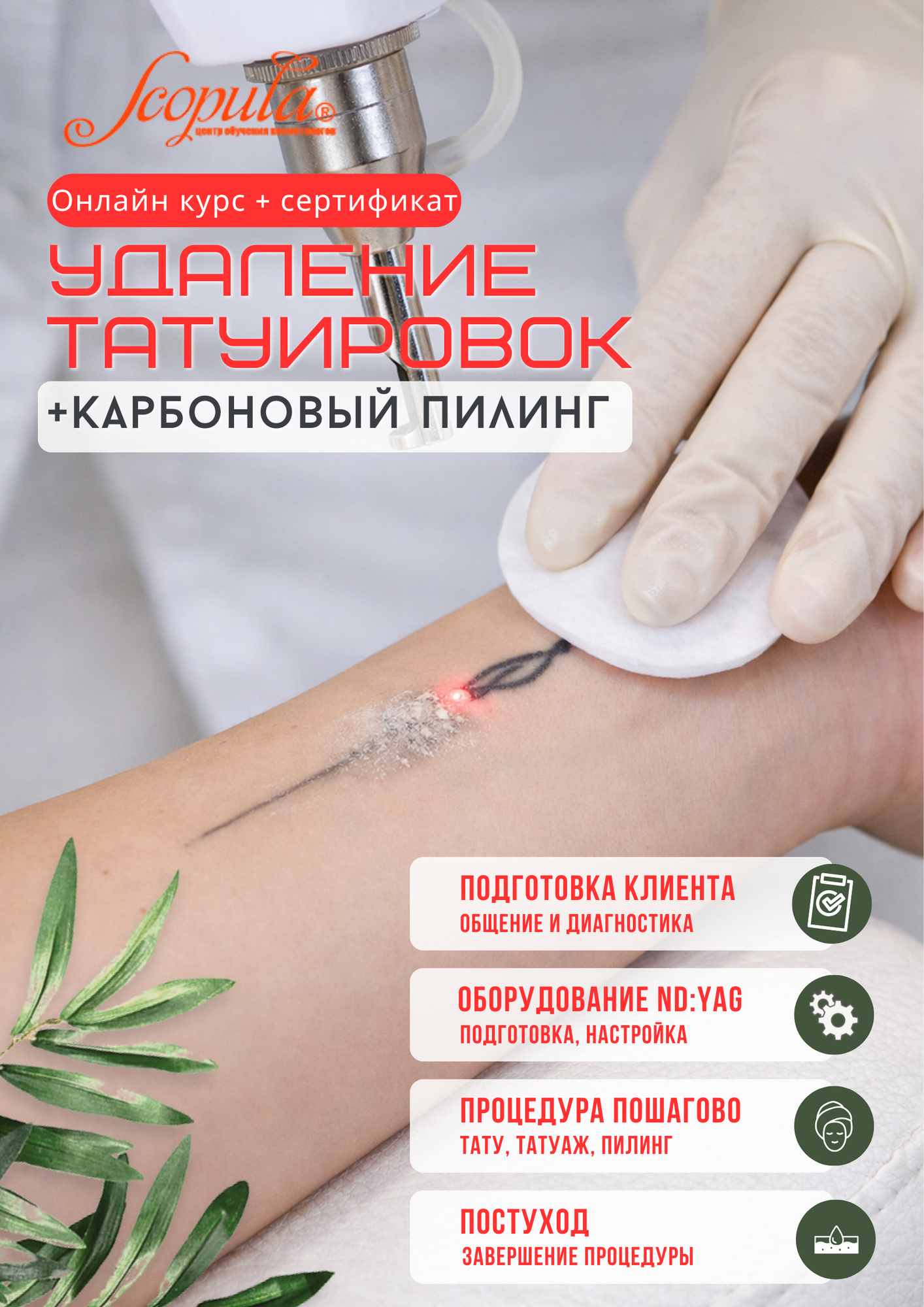 "Удаление татуировок, татуажа, карбоновый пилинг": онлайн-курс с сертификатом. Теория и практика. 8 ак. ч