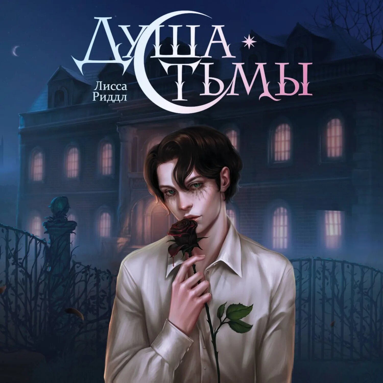 Душа тьмы [Аудиокнига]