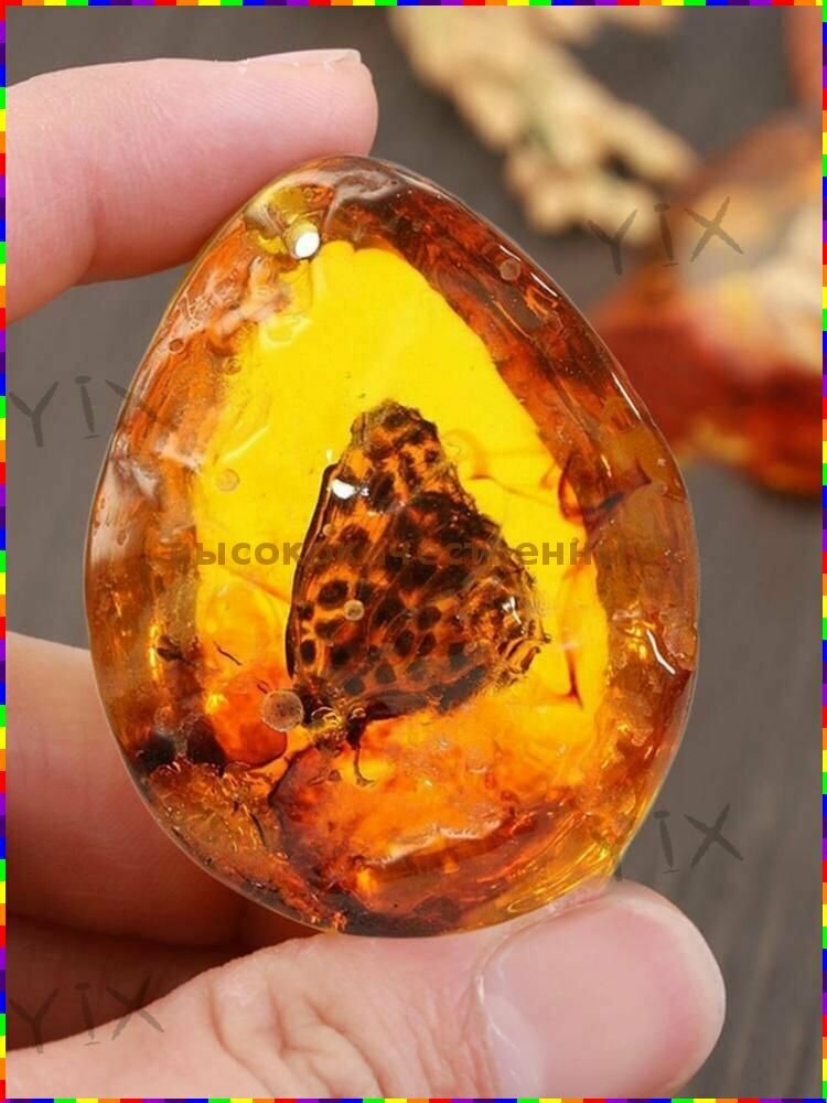 Редкие бабочки в янтаре настоящие ископаемые экземпляры природы