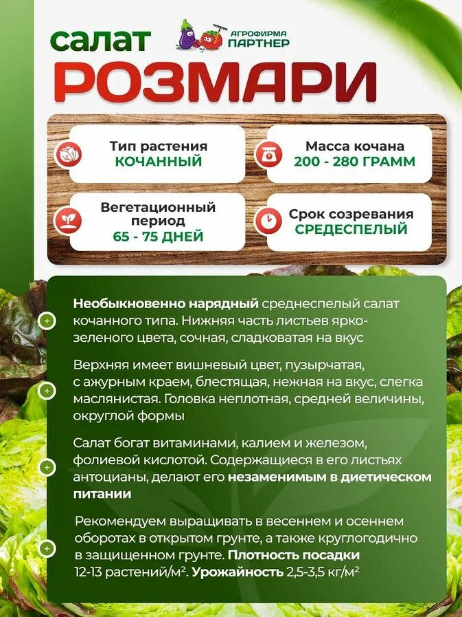 Семена салата Розмари — фото 1
