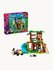 Конструктор LEGO Friends 42648 Уход за животными в заповеднике панд, 243 дет.