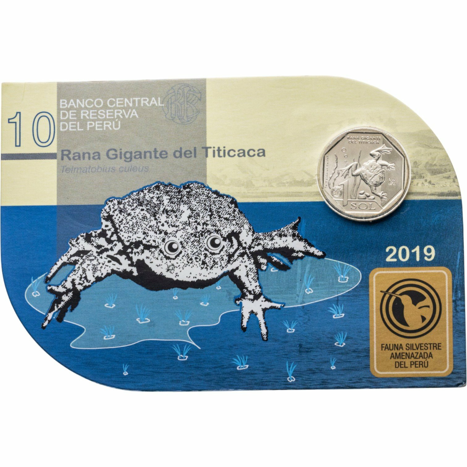 Перу 1 соль 2019 "Красная книга Перу - Титикакский свистун" в буклете, МНЦ медь-никель-цинк, в сохранности UNC