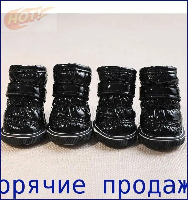 Кеды для собак (Размер 2)