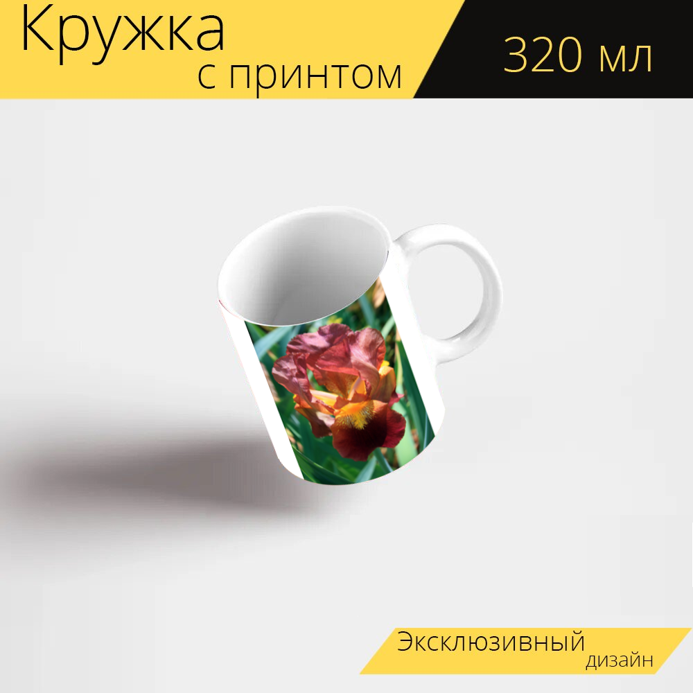 Кружка с рисунком, принтом "Фиолетовый и желтый ирис цветок фиолетовый и желтый ирис цветок цветок запутанные нежный фиолетовый лиловый желтый" 320 мл.
