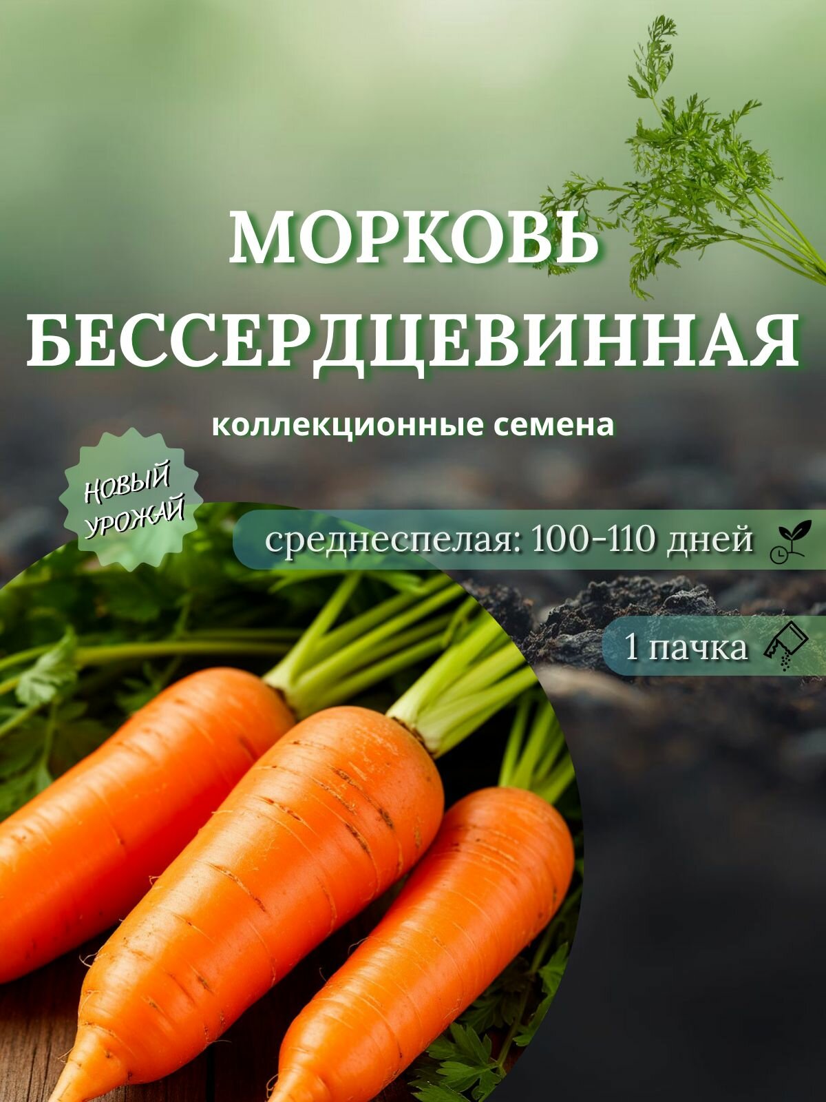 Морковь Бессердцевинная, коллекционные семена, 10 шт.
