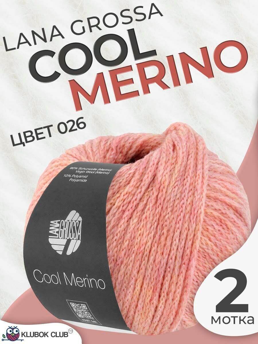 Пряжа для вязания Lana Grossa Cool Merino шнурок, цвет 026, 2 мотка