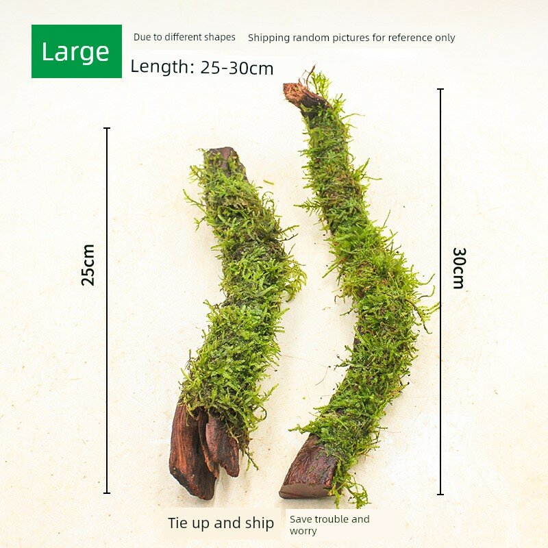 Естественные мхи с покрытием дрифтвуда крупного размера 1 штука длиной 25-30 см идеально для центрального декора