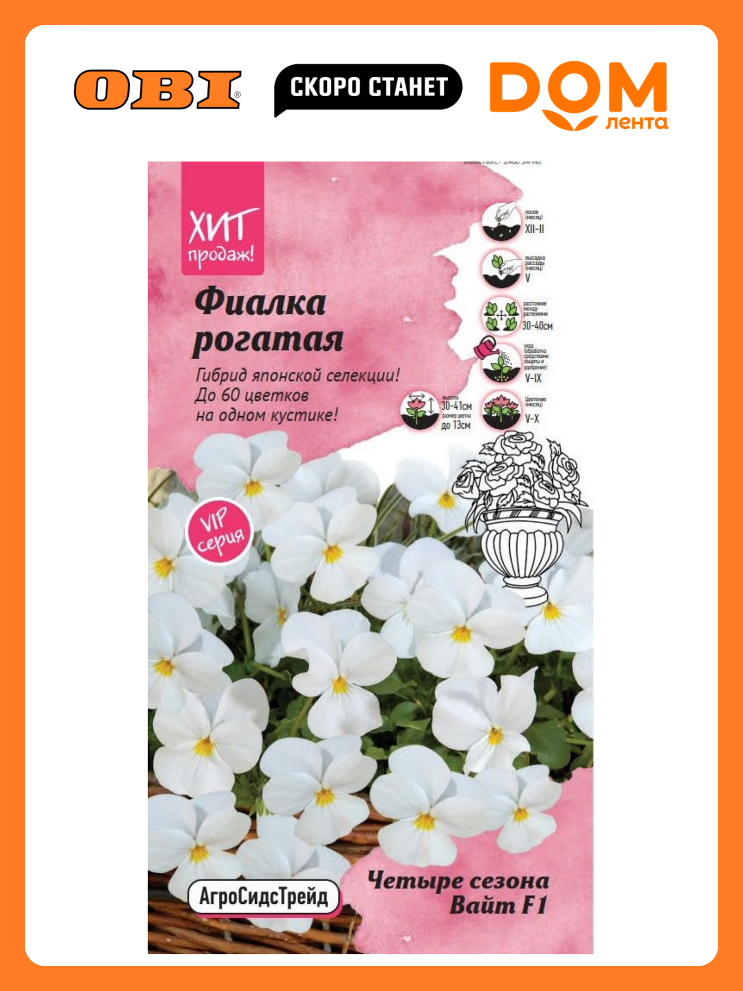 Фиалка рогатая четыре сезона вайт f1
