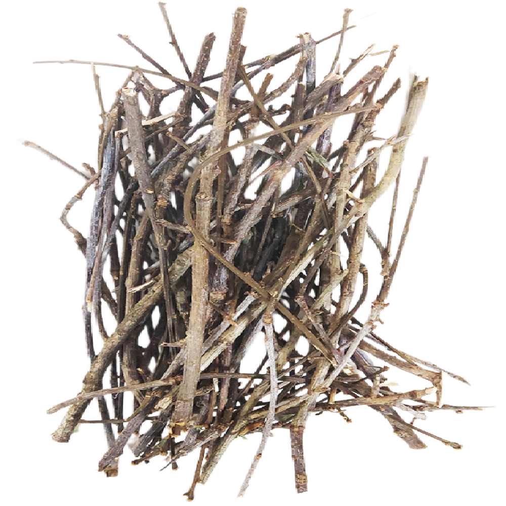 Дуб, ветки, для грызунов 50г.