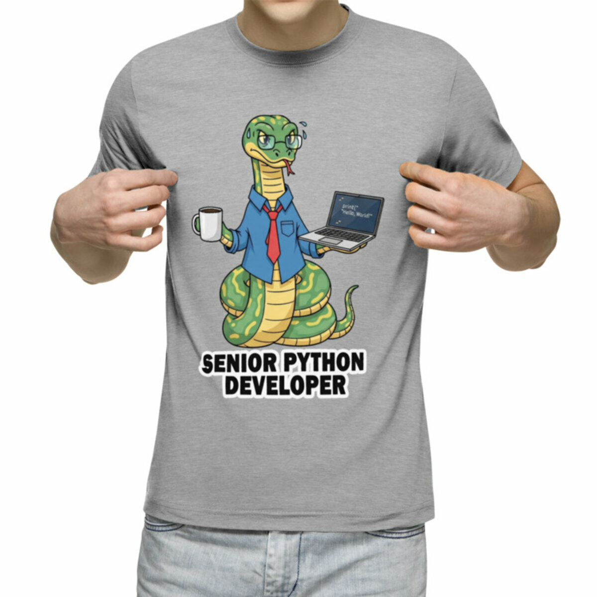Мужская футболка «Senior Python Developer. Питон программист» (серый меланж, XL)