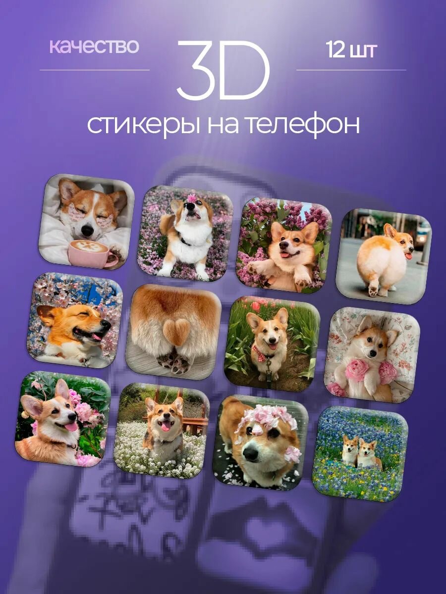 3D стикеры на телефон Корги
