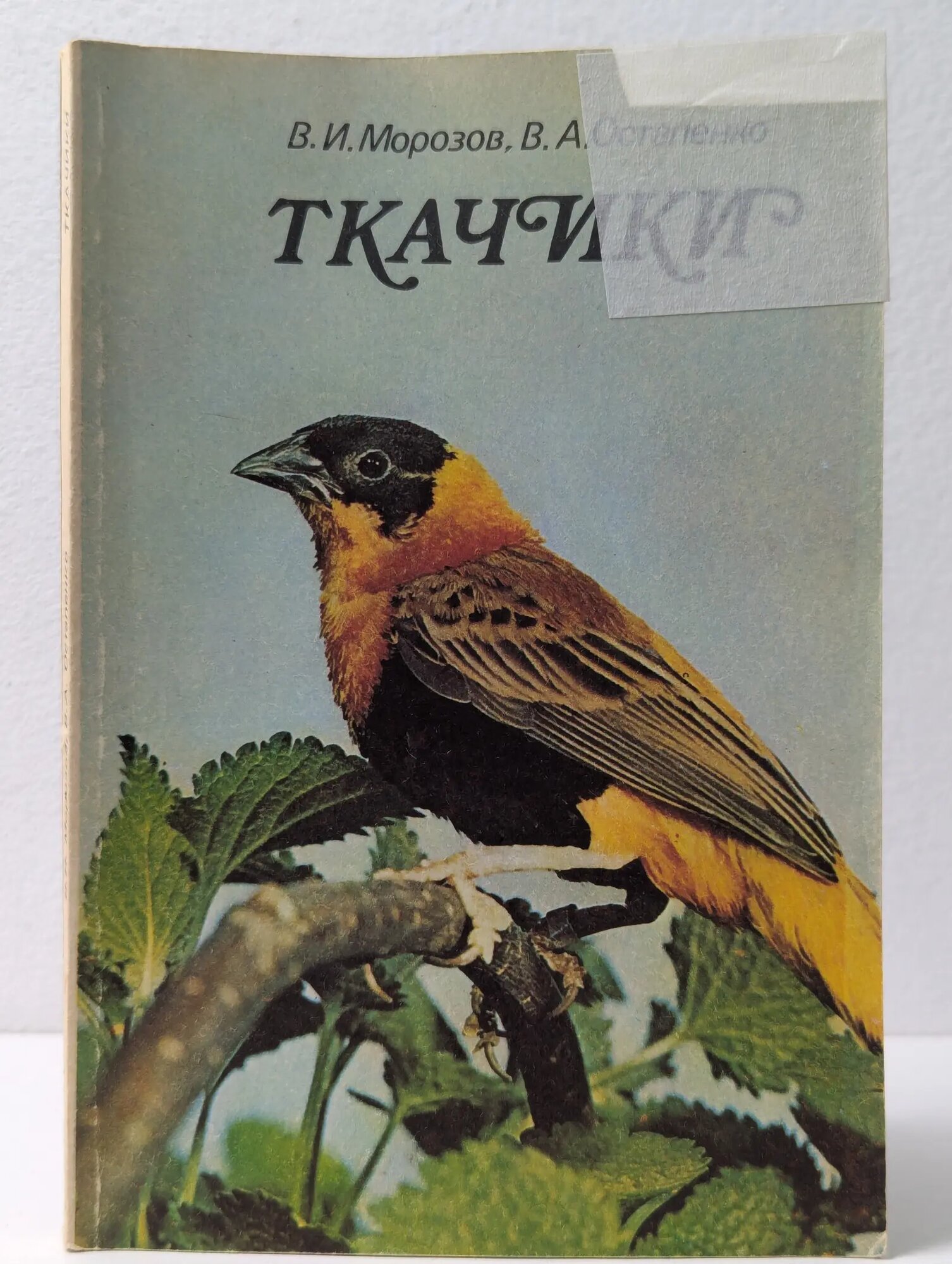 Ткачики Остапенко Владимир Алексеевич, Морозов Владимир Иванович 1988