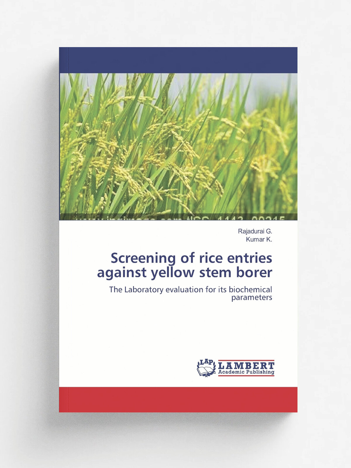 Screening of rice entries against yellow stem borer