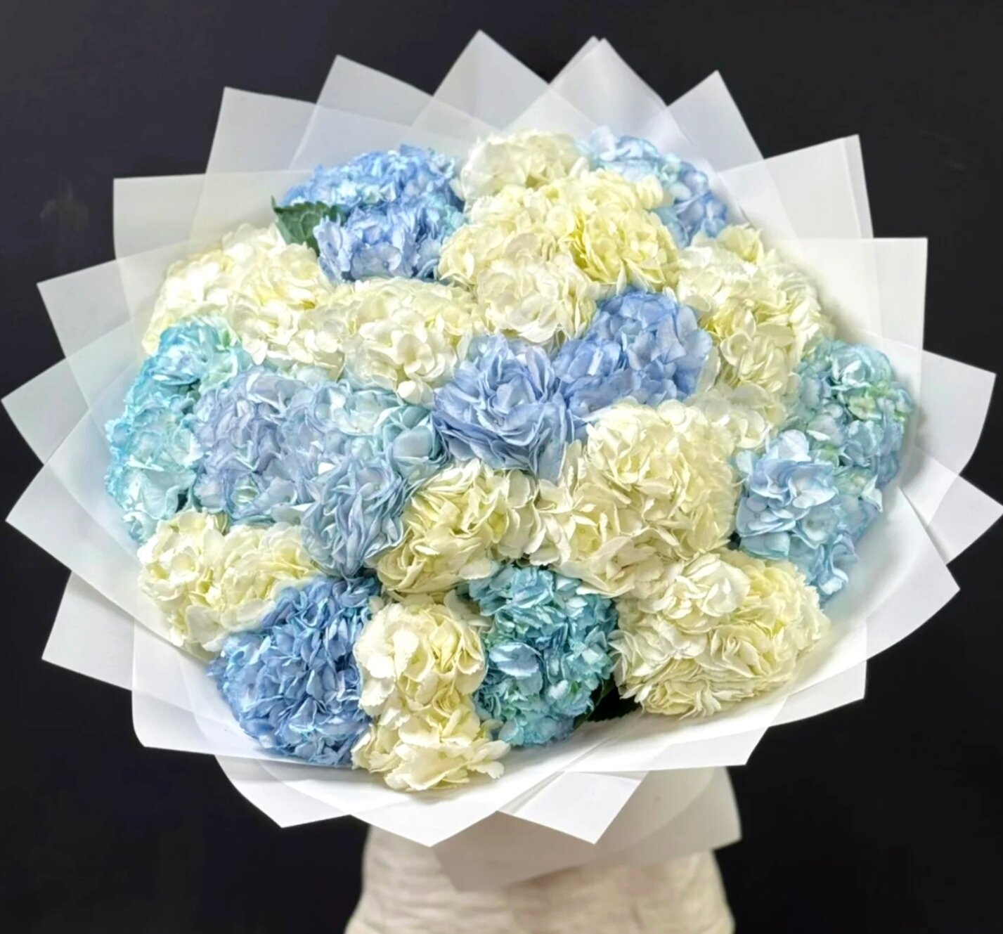 Букет из 25 гортензий Зефир
