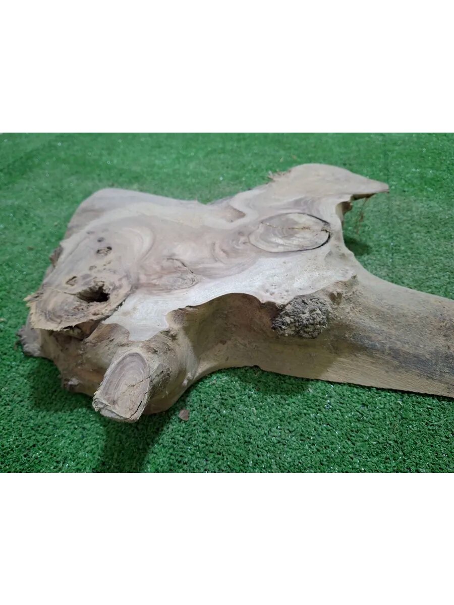 Слэб массив Каповый карагач (650-340-60мм)