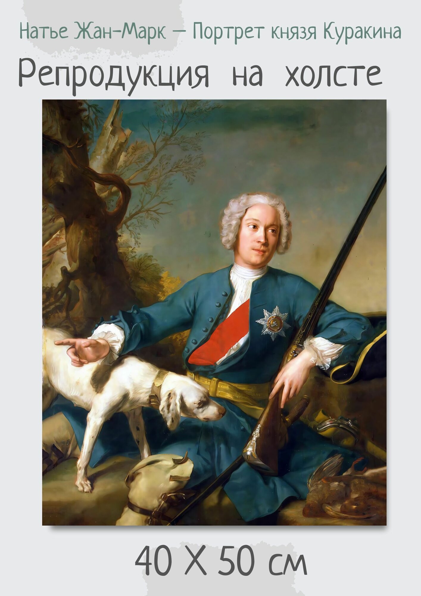 Натье Жан-Марк "Портрет князя Александра Борисовича Куракина". Картина 50х40