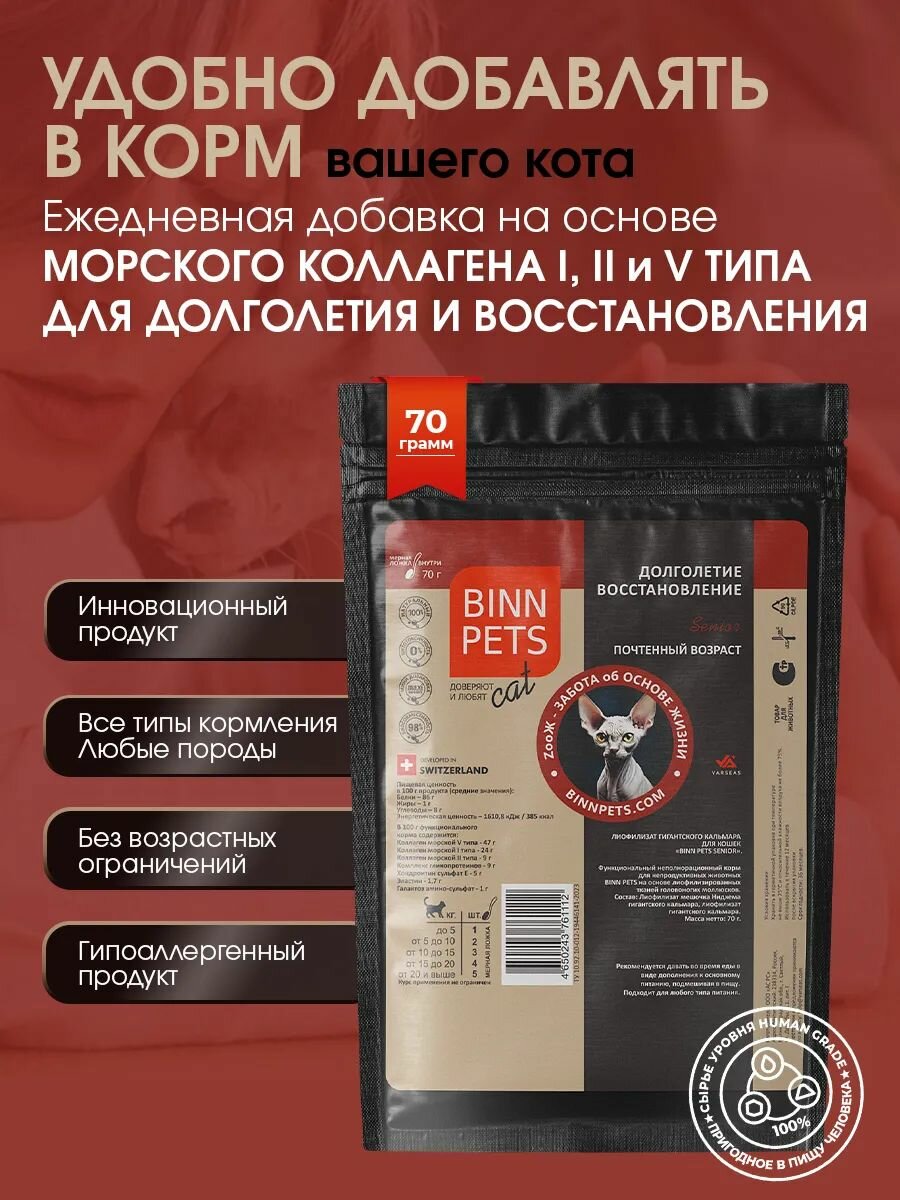 Натуральный морской коллаген для пожилых кошек BINN PETS Sinior поддержка суставов, связок и иммунитета. Замедление старения и восстановление активности в пакете 70 грамм