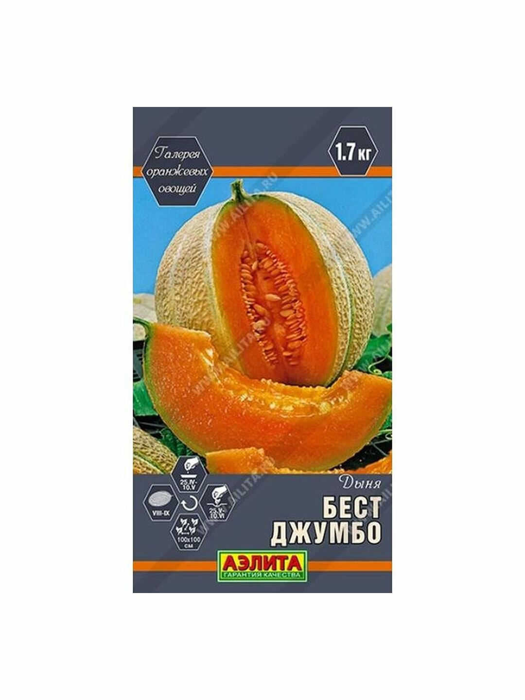 Семена Дыня Бест Джумбо, среднеспелый, Аэлита - Галерея оранжевых овощей, 1 пачка - 1г семян