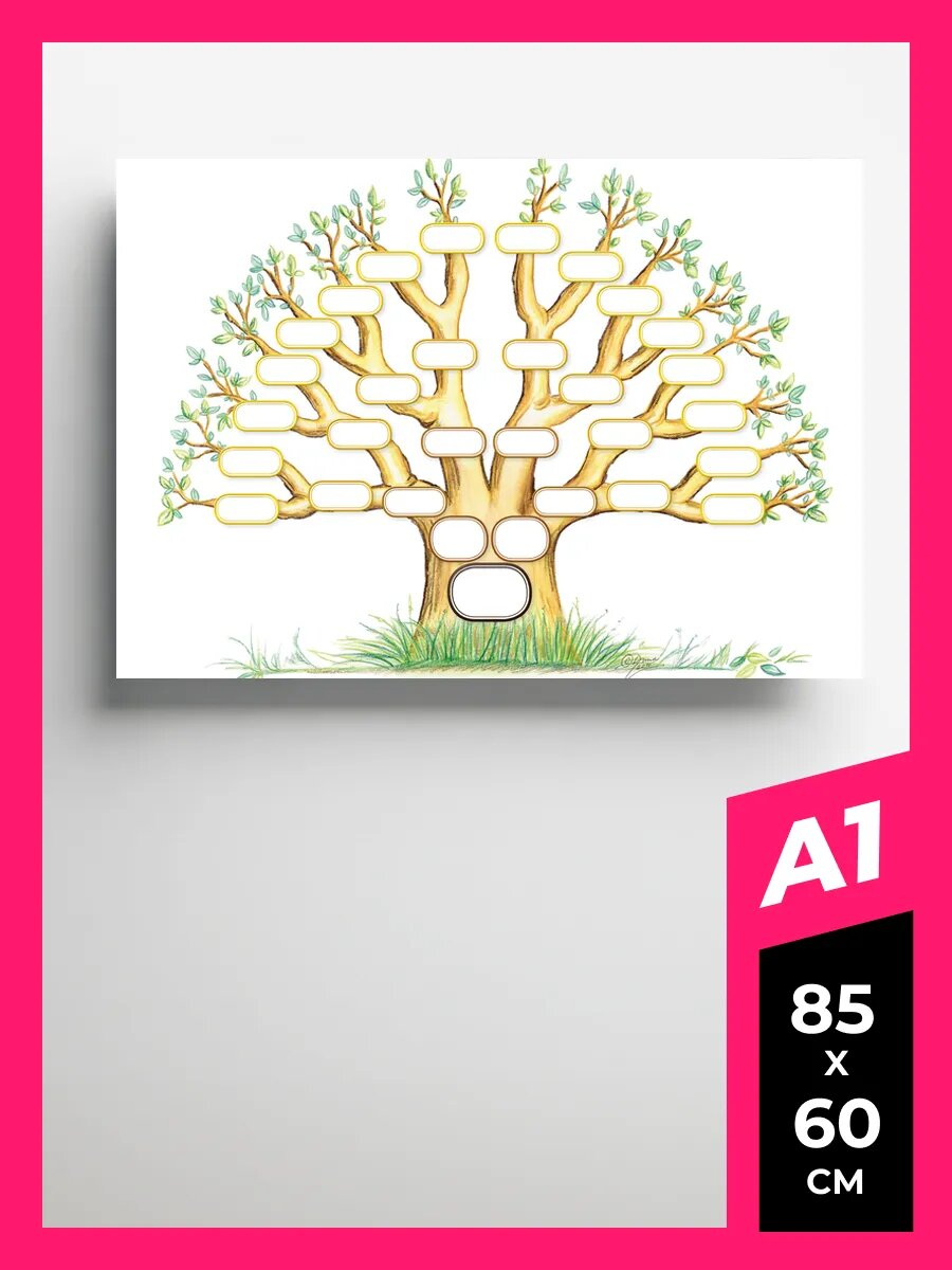 Плакат Семейное древо Постер 23 A1, матовая фотобумага премиум качества