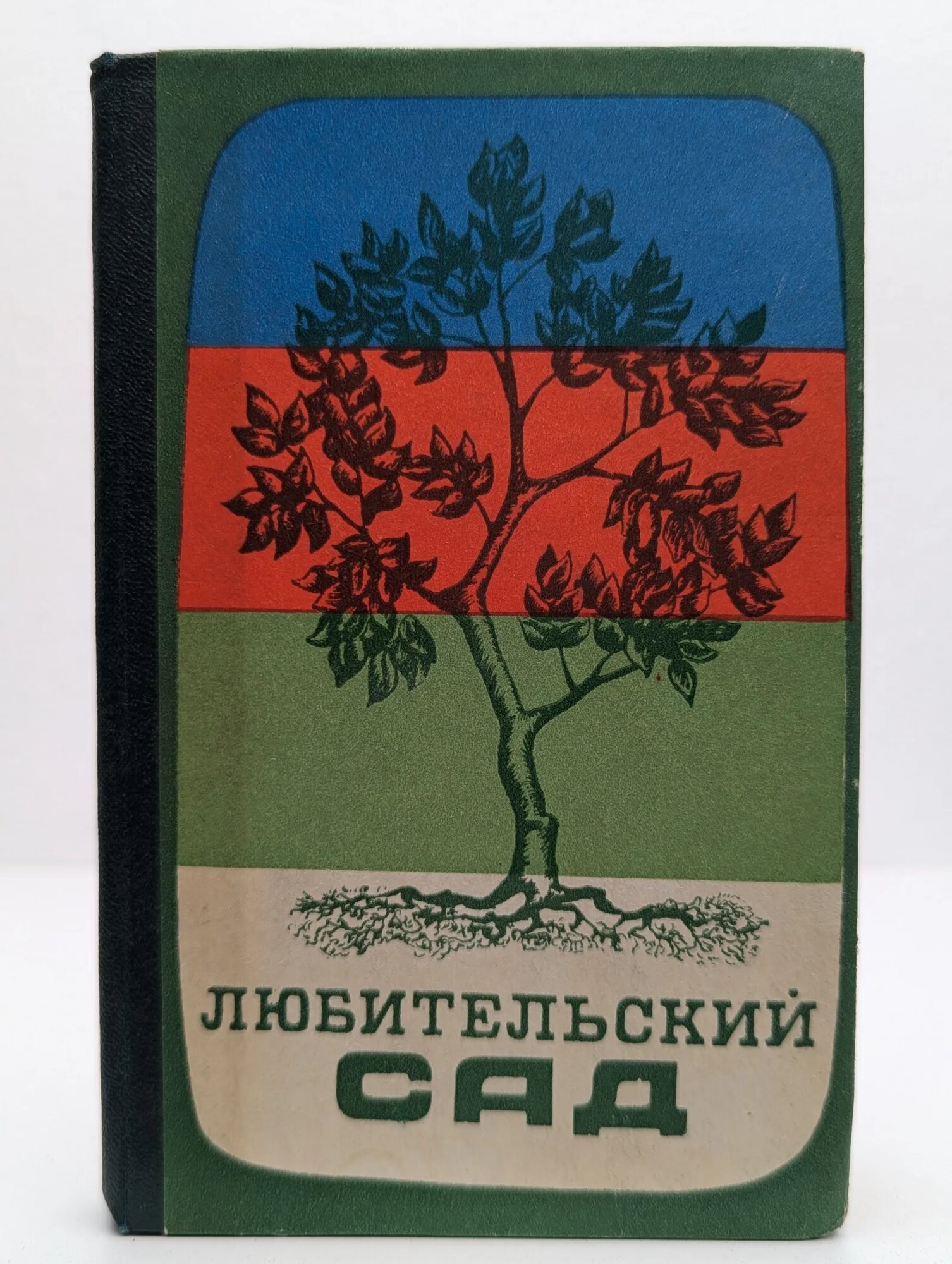 Любительский сад Иванов Виктор Иванович, Шепель Павел Макарович 1977