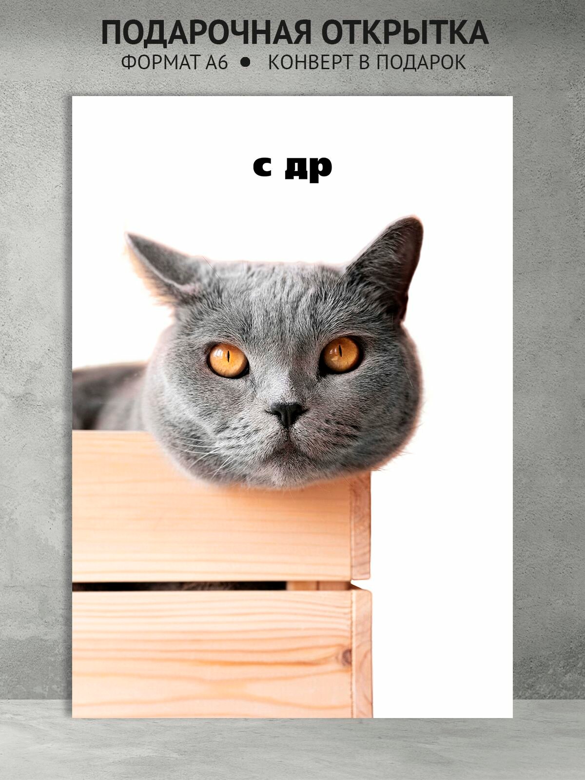 Подарочная открытка с уникальной иллюстрацией котик "С др" с днем рождения, с юбилеем