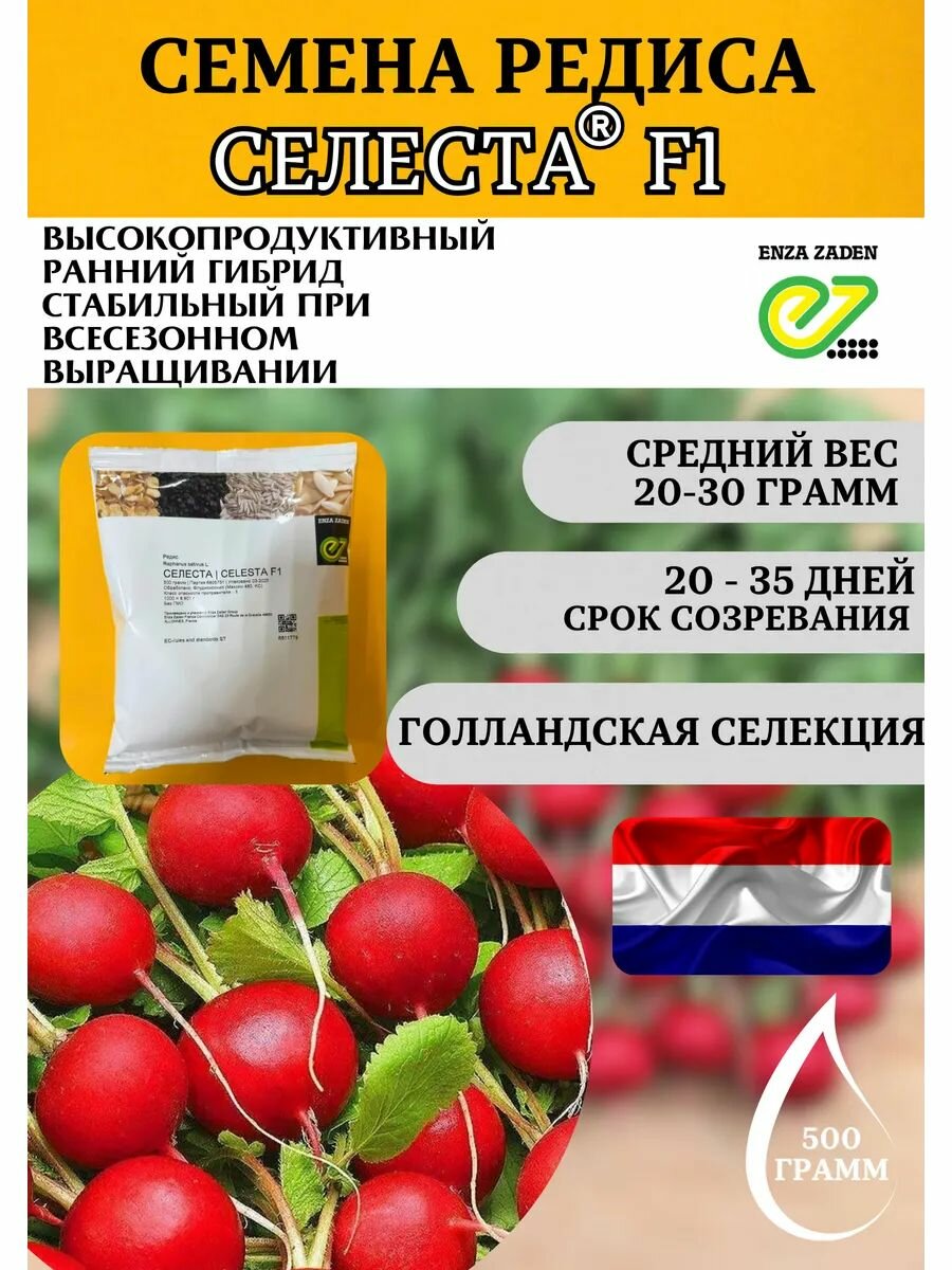 Семена Редиса Селеста F1 всесезонный 500 гр (обработанная), профессиональные семена