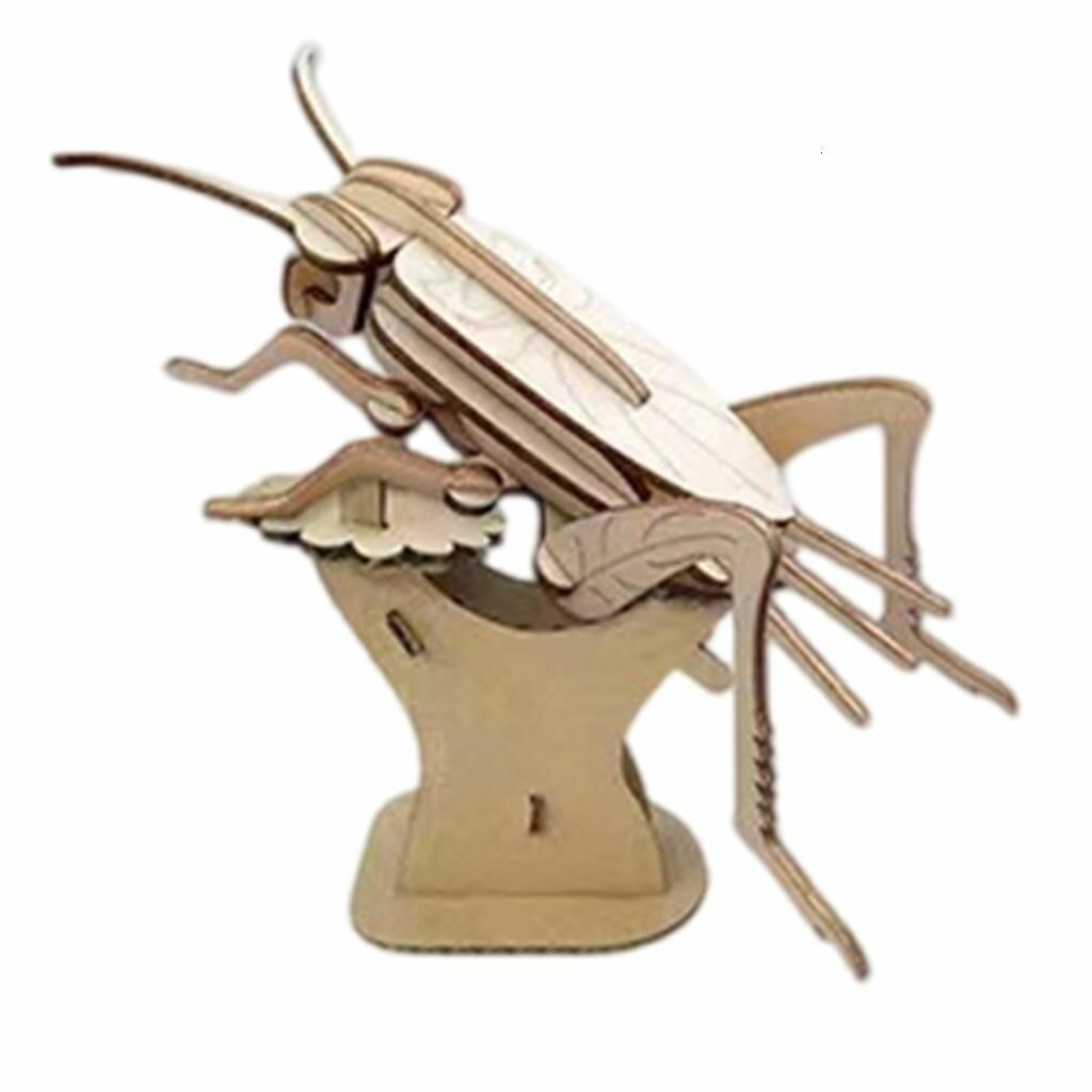 Головоломка с Насекомыми-Крикет