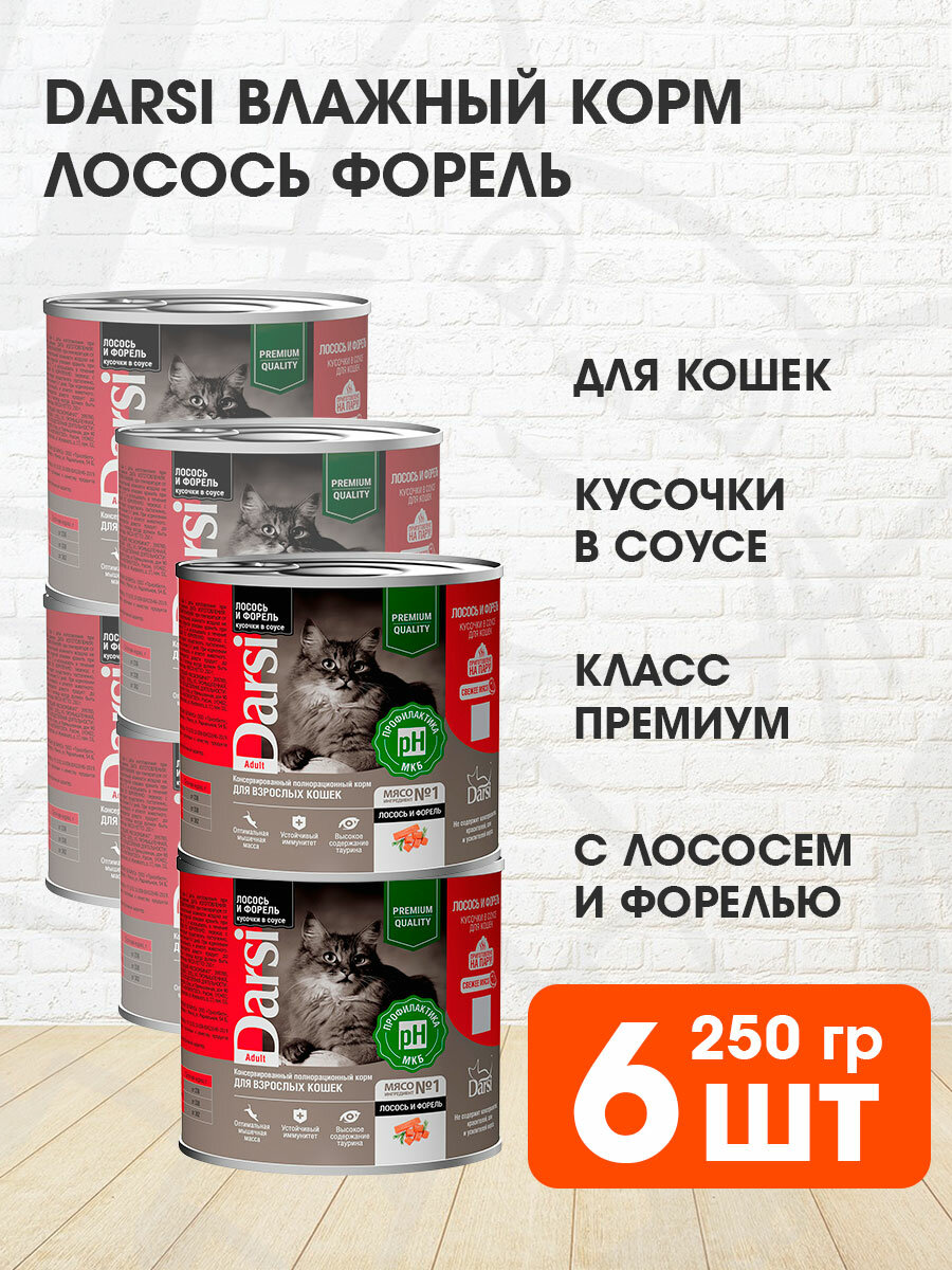 Корм влажный Darsi Aduil Cat для взрослых кошек, лосось и форель в соусе, 250 г х 6 шт