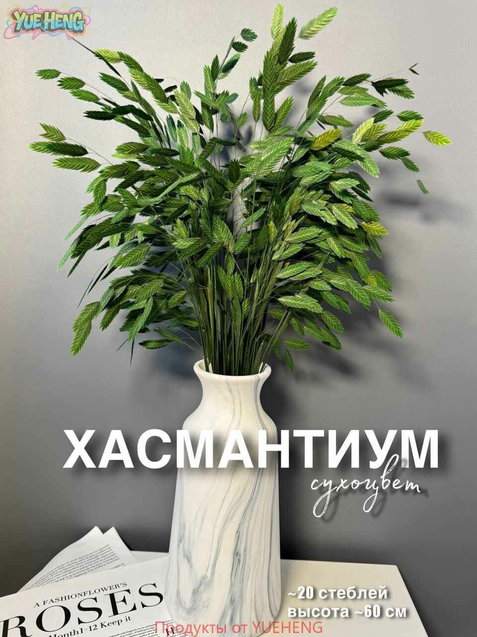 Хасмантиум сухоцветы для декора