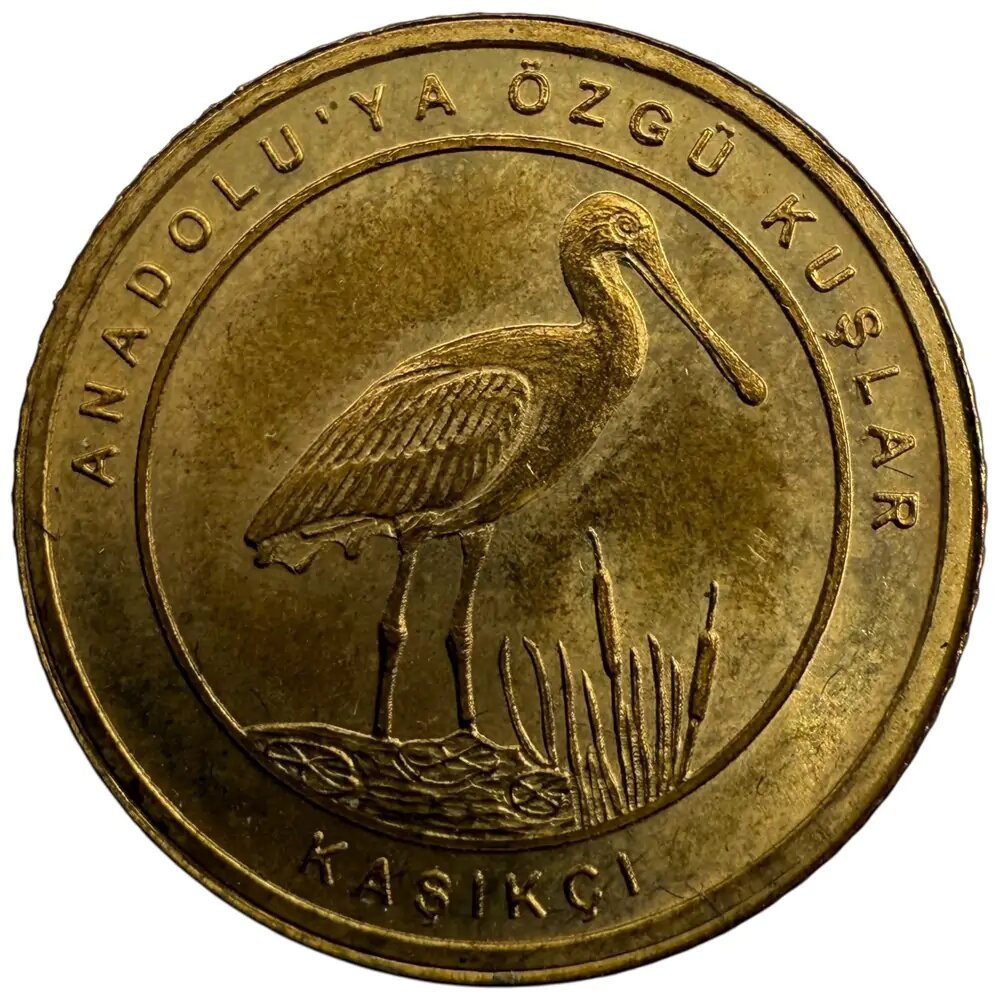Турция 1 куруш 2021 г. (Птицы Анатолии - Колпица)
