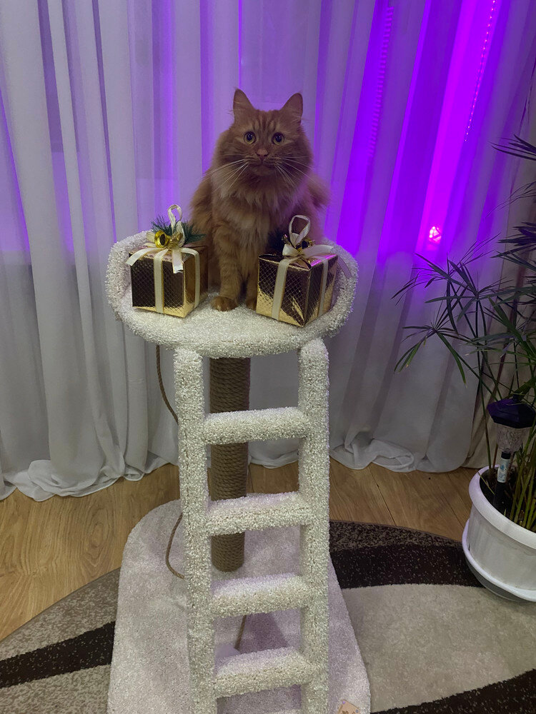 Когтеточка для кошек , Моя Котя "Каменный цветок", цвет белый