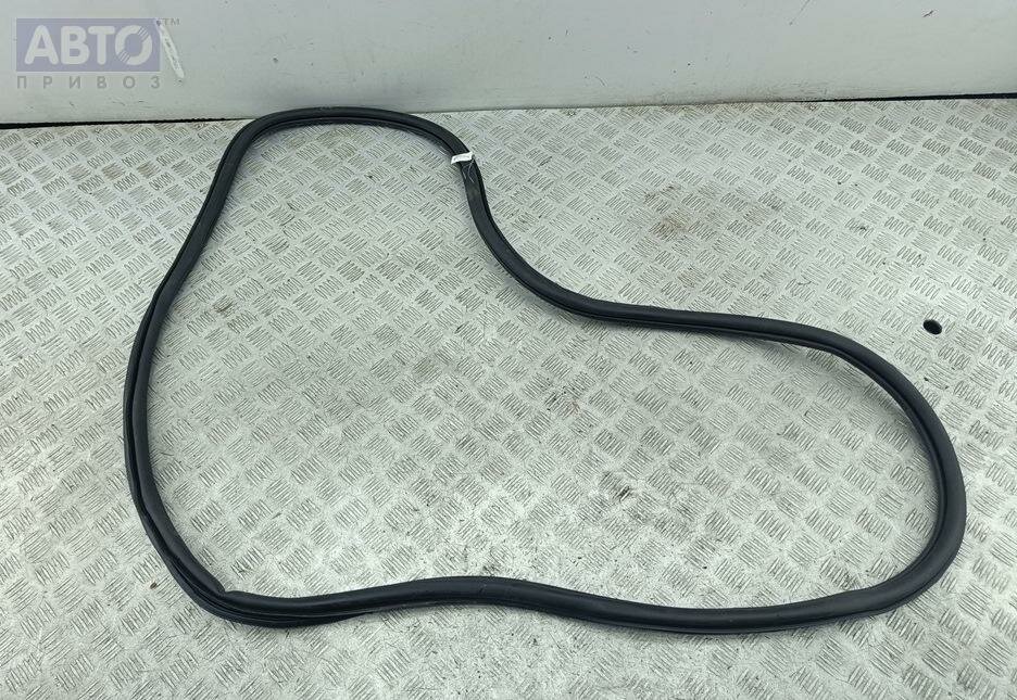 Уплотнитель двери задней правой Skoda Octavia mk3 (A7 5E) 2013-2020