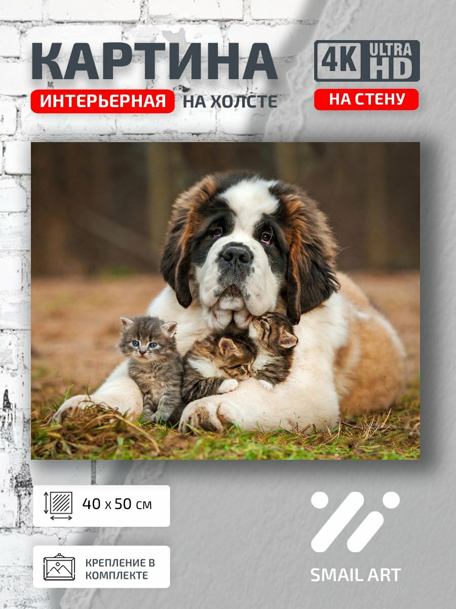 Картина на холсте интерьерная 40 на 50 на стену Котята Landscape для кабинета пейзаж декор