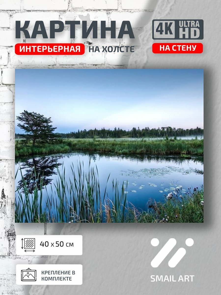 Картина на холсте интерьерная 40 на 50 на стену Отражение Landscape для кабинета пейзаж