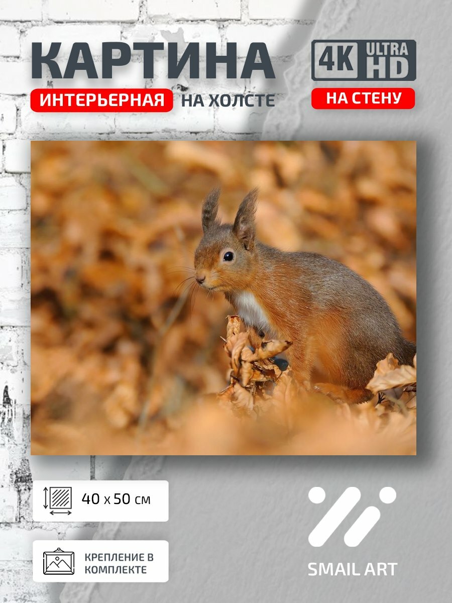 Картина на холсте интерьерная 40 на 50 на стену Листьях Mood для офиса атмосфера интерьер