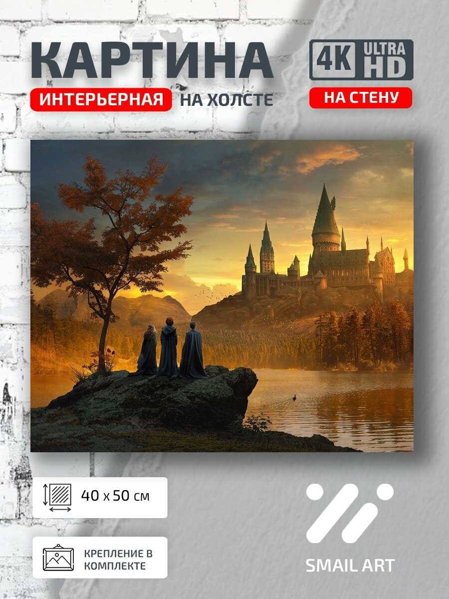 Картина на холсте интерьерная 40 на 50 на стену Гарри Поттер для спальни атмосфера
